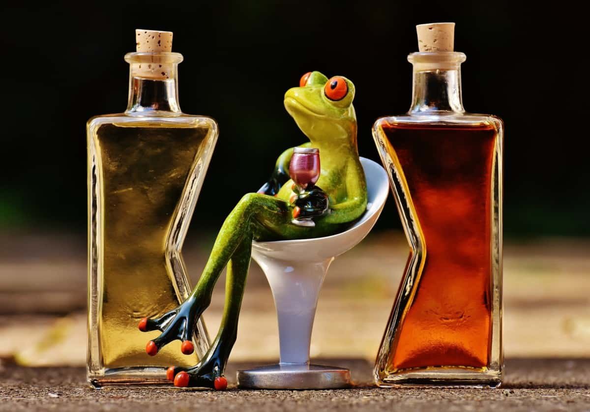 How To Make Redneck Wine – Homestead Advisor